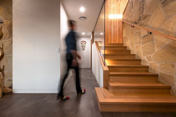 The char house inspired by fallen burnt tree branch by Starbox ...