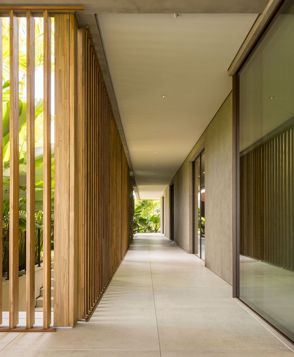01 TVN House, Disguised among the Vegetation Saraiva e Associados ...